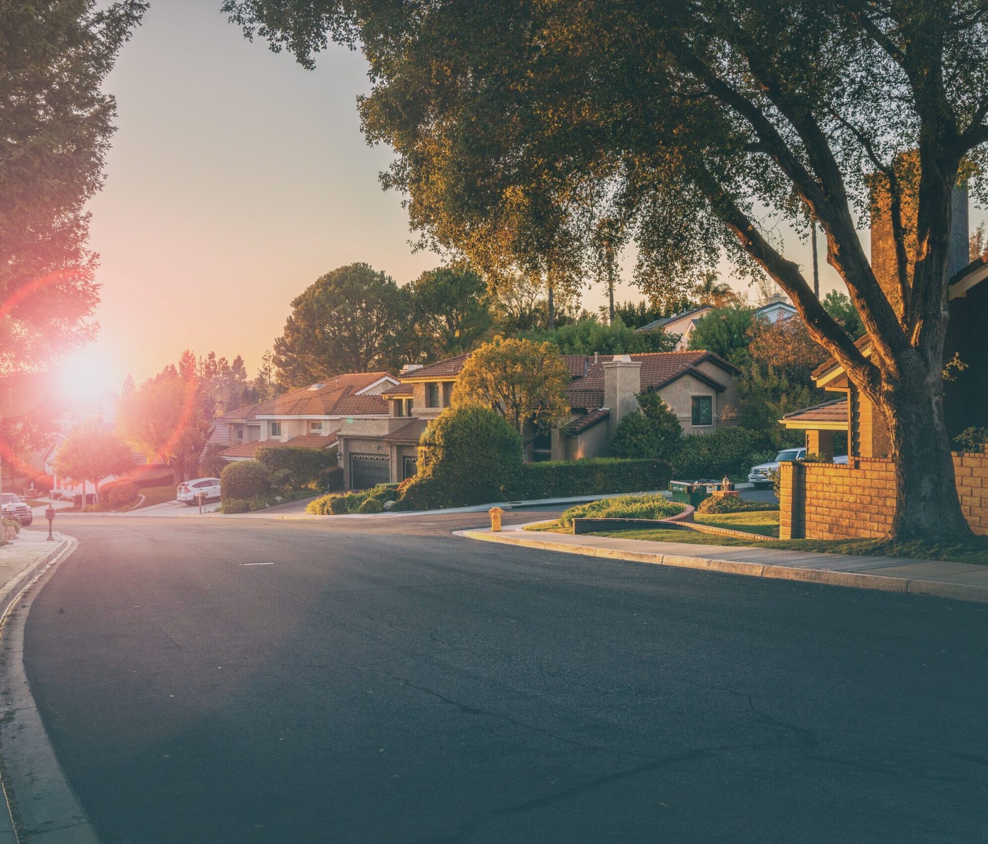 Home - Homestead Realty